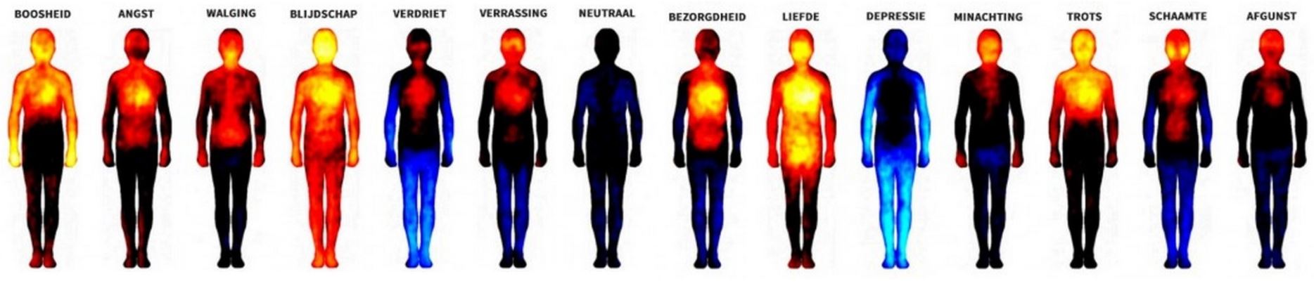 EMOTIES leren ons dat de ZAKEN waar we het MEEST van houden BUITEN onze ...