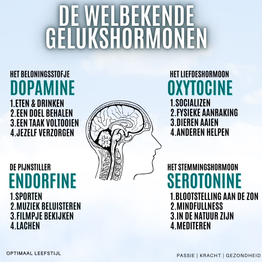 GELD, sociale status, plastische chirurgie, mooie huizen, machtige ...